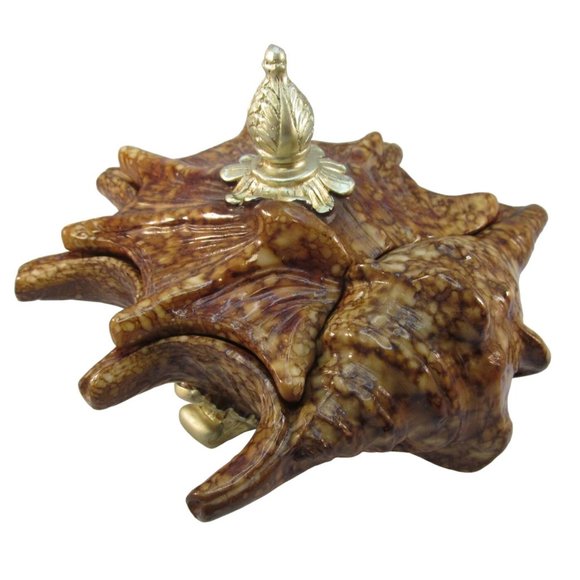 Accents | Brown Spotted Starfish Conch Shell Shape Resin Trinket Box ...